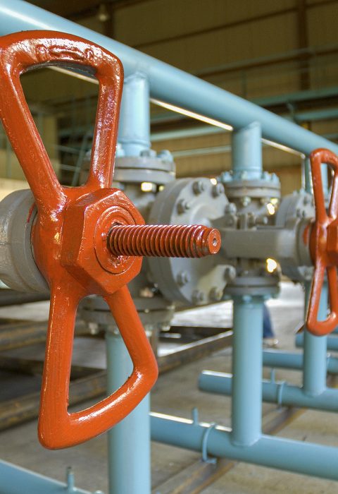 SAMFEX – services unchained